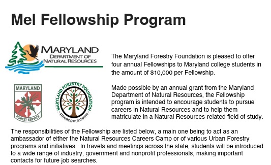 Mel Fellowship Program In USA 2025–26: $10,000 Awards - Opportunity Portal